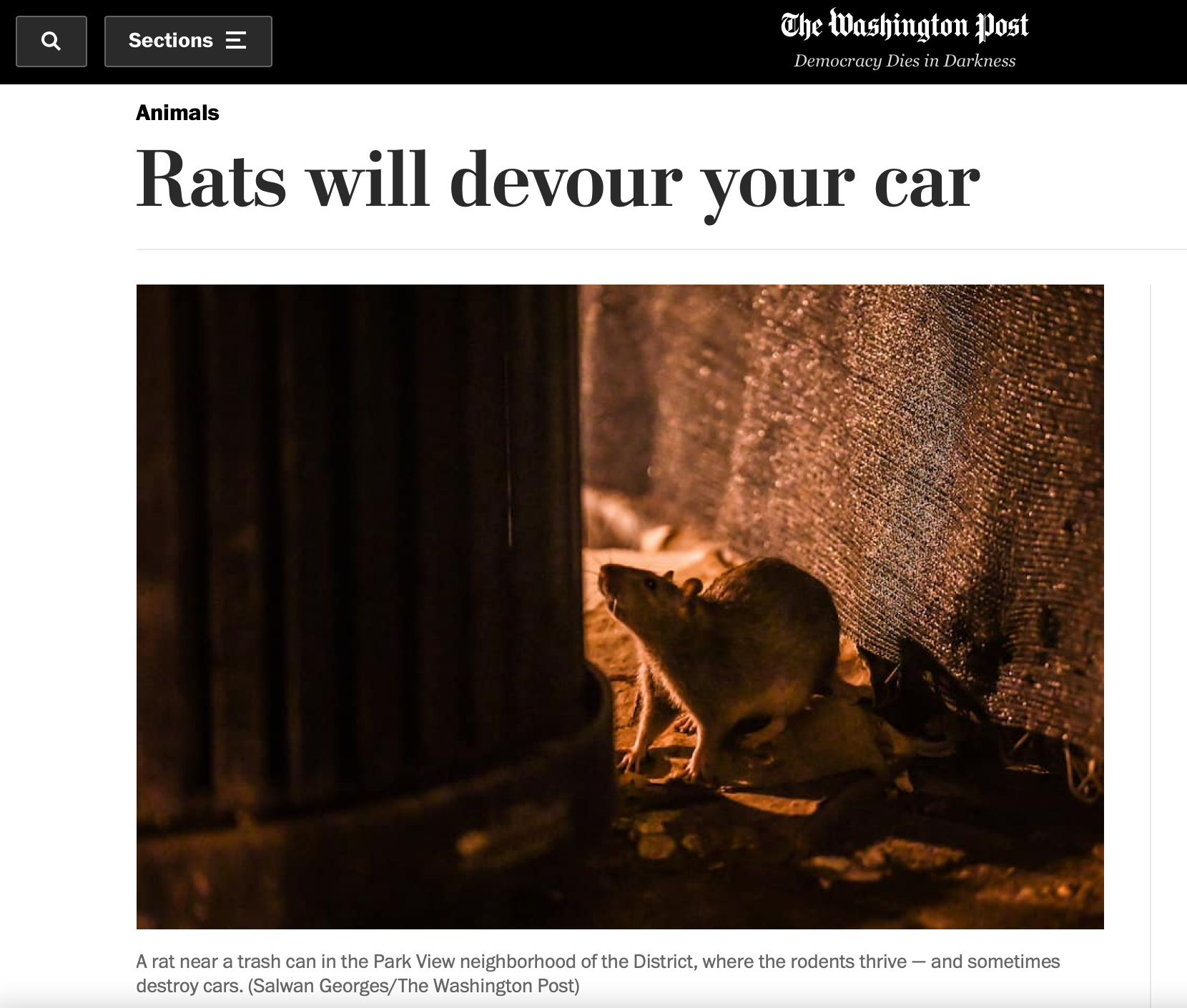 Awards — Hammer Technologies Rat Repellent For Cars, Deterrent For Rats.