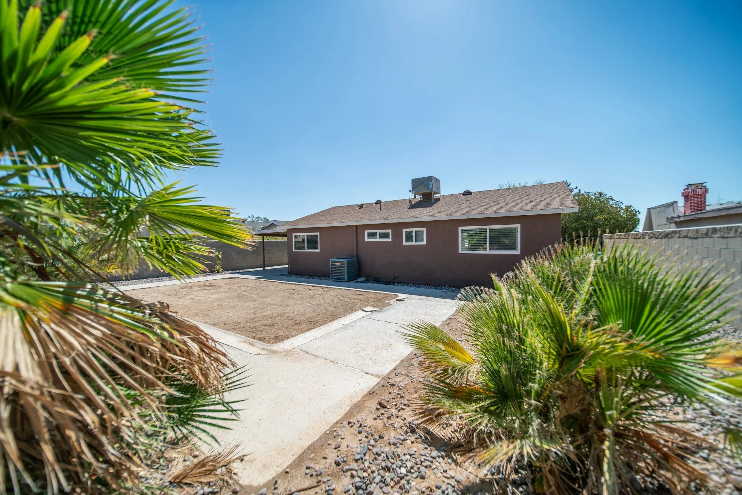 What Attracts Rats To Your Yard?