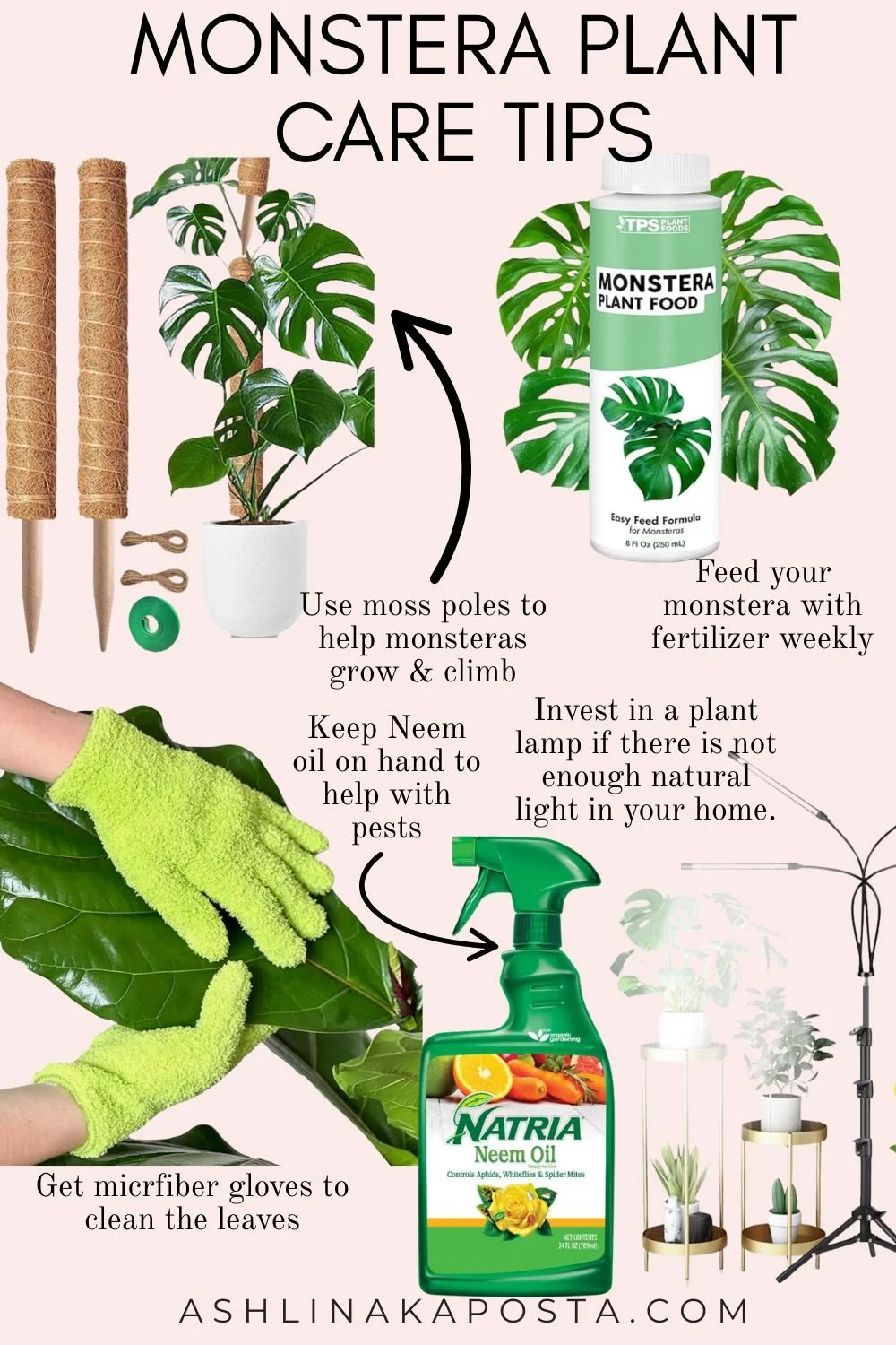 The Ultimate guide to caring for and growing your Monstera Deliciosa ...