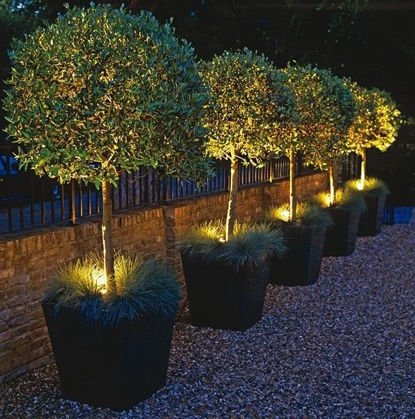12 Creative Outdoor Lighting Ideas for Magical Summer Nights — ASHLINA ...
