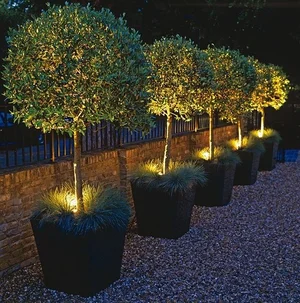 12 Creative Outdoor Lighting Ideas for Magical Summer Nights — ASHLINA ...
