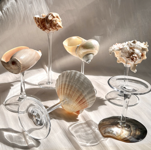 Decorating with Seashells: A Breezy Dive into Coastal Charm, History ...