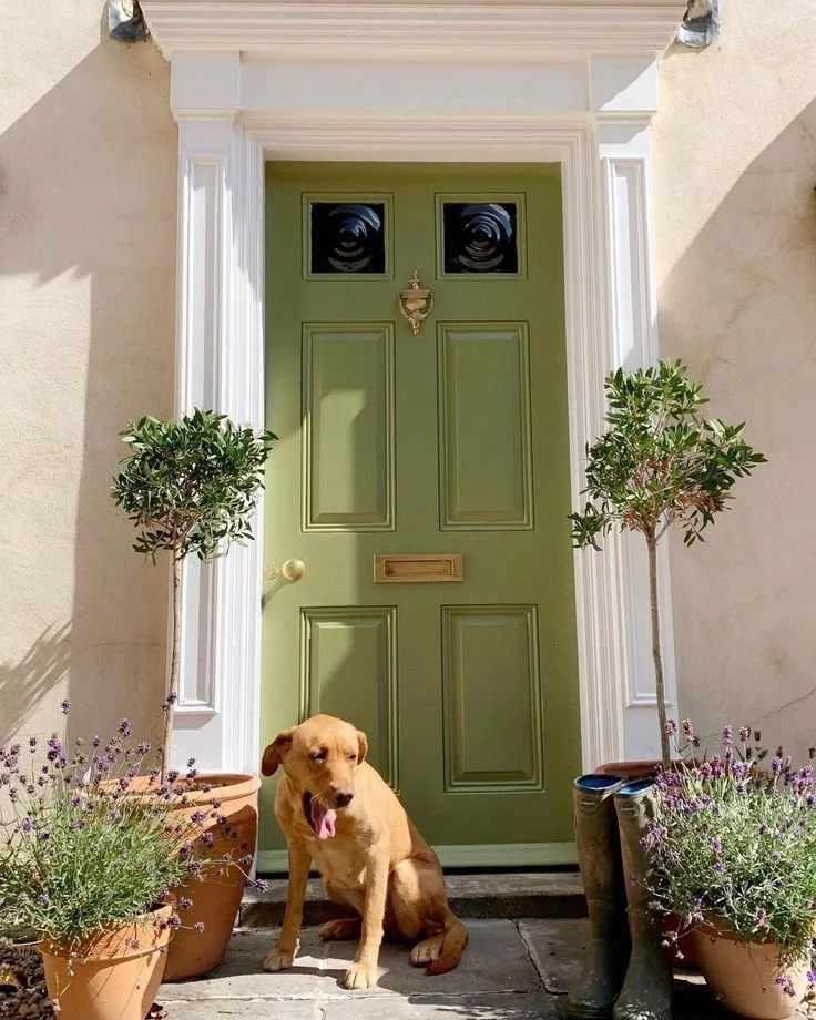 Unlock Good Luck & Prosperity: The Feng Shui Benefits of a Green Front ...