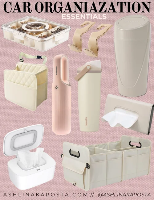 8 Genius Car Organization Ideas Every Busy Mom Will Love — ASHLINA KAPOSTA