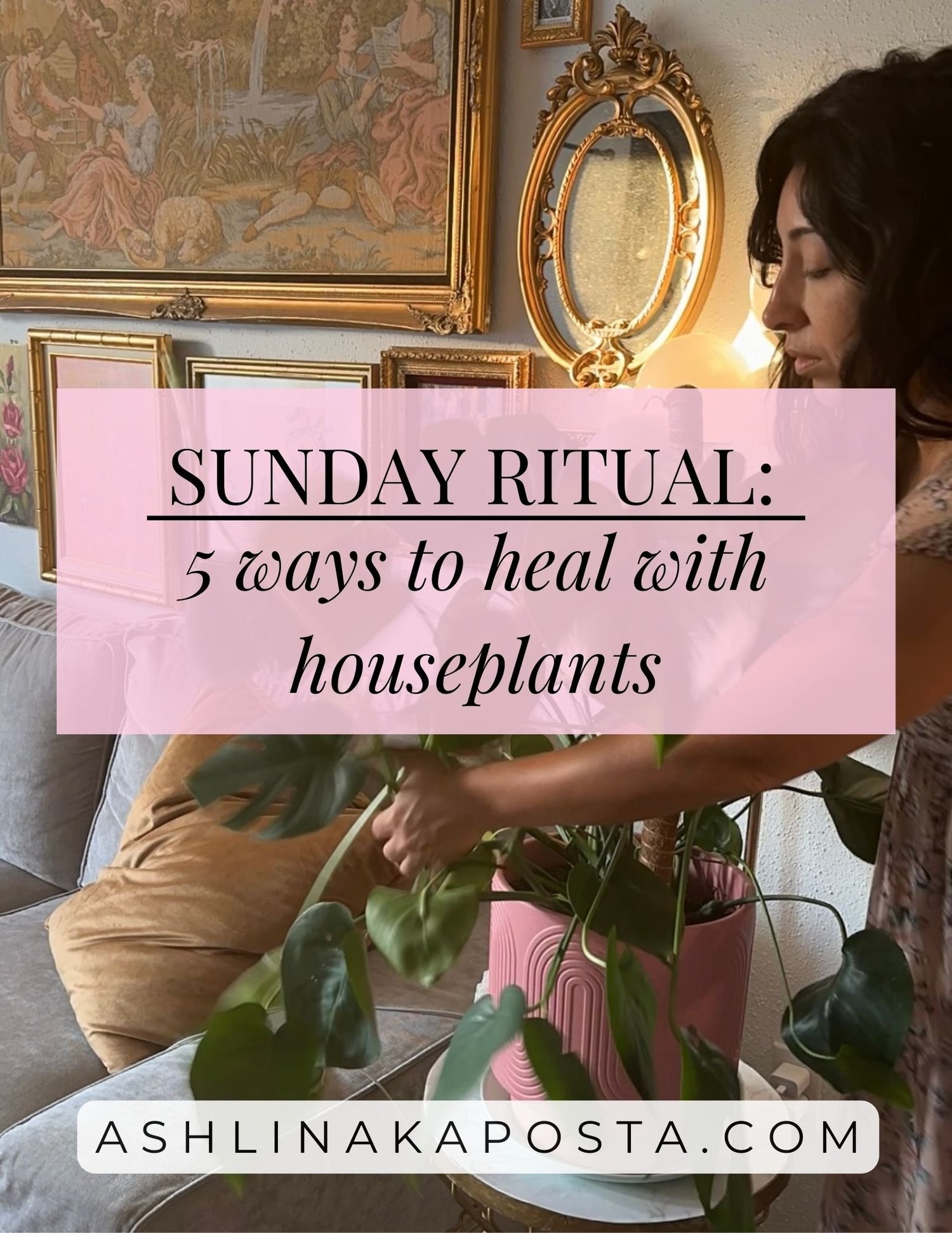 5 ways to heal with houseplants & a beautiful Sunday morning plant care ...