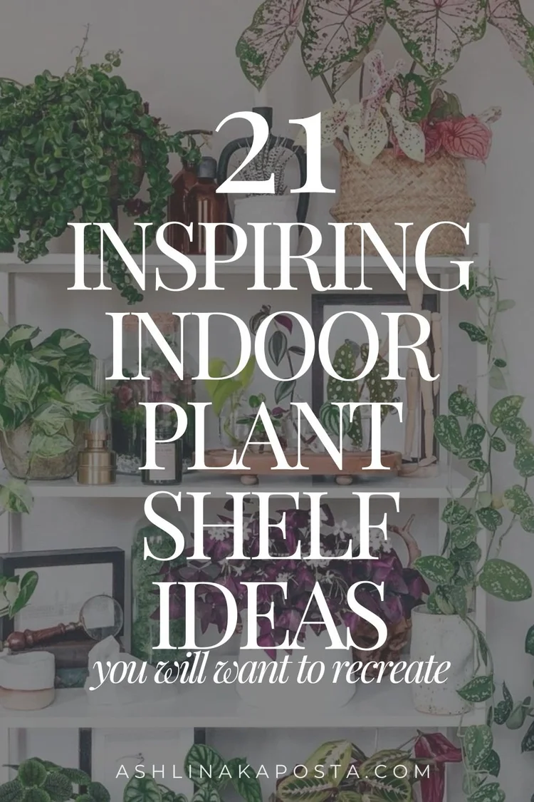 21 Inspiring Indoor Plant Shelf Decorating Ideas to Refresh Your Home ...