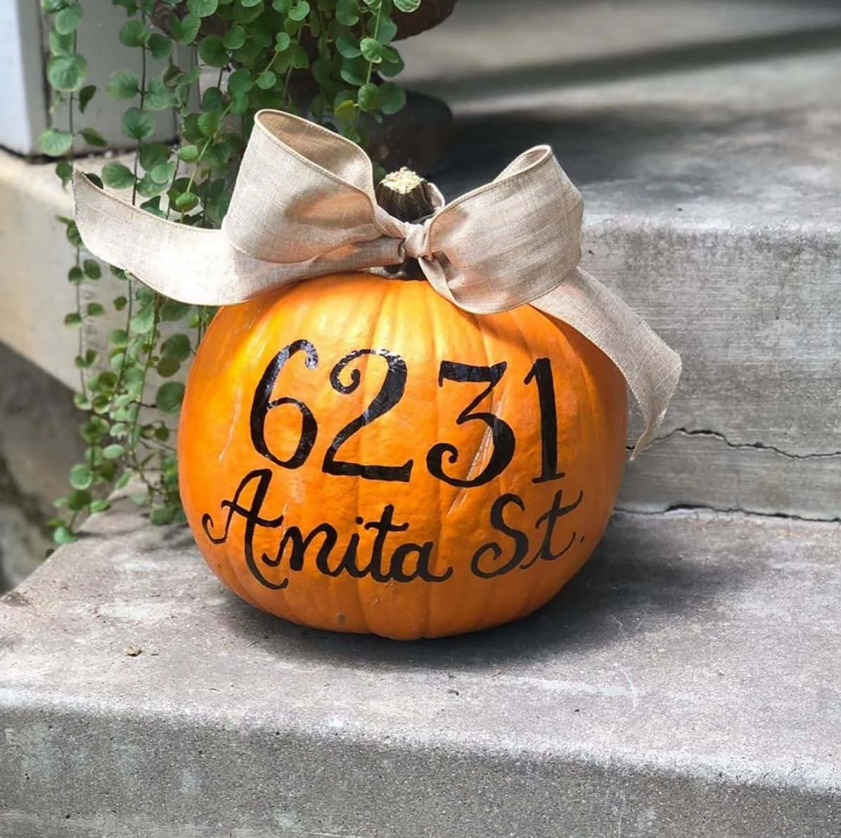 23+ Seriously Chic No Carve Pumpkin Decorating Ideas — ASHLINA KAPOSTA