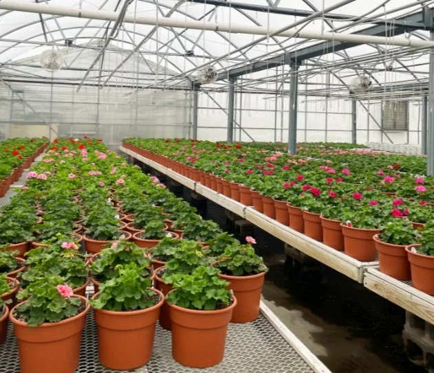 About Us — WOJOS GREENHOUSE
