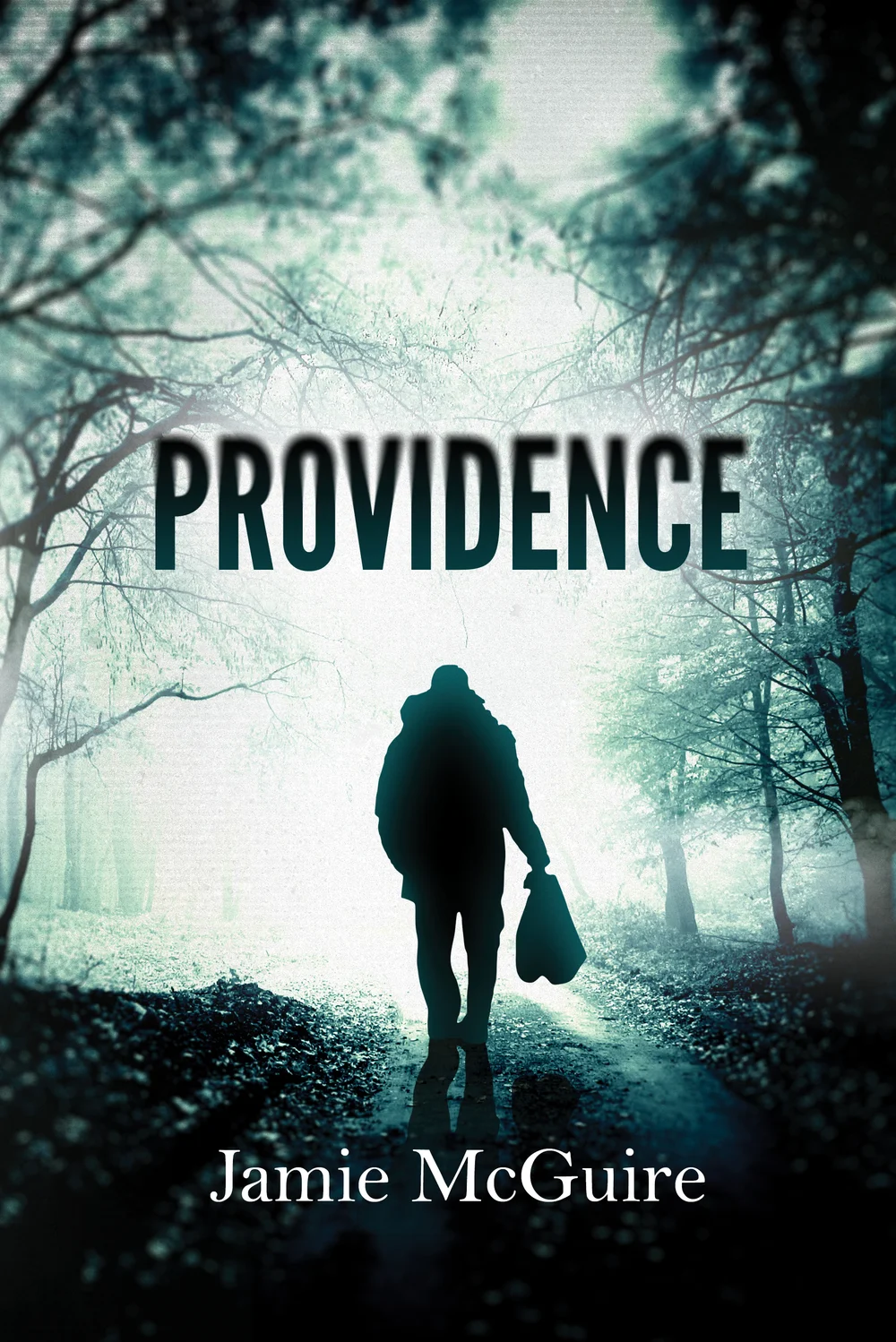 Providence Trilogy — Author Jamie McGuire