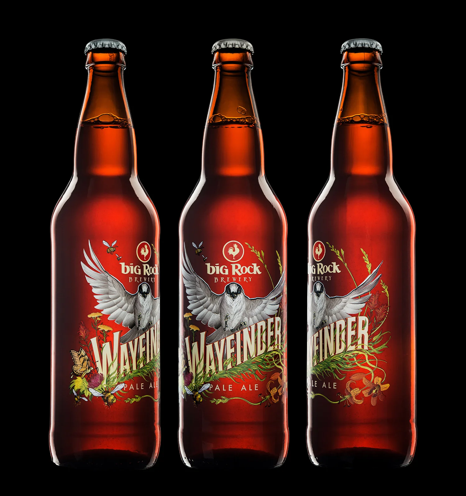 Wayfinder Pale Ale Label Design - Craft Beer Branding - HGC