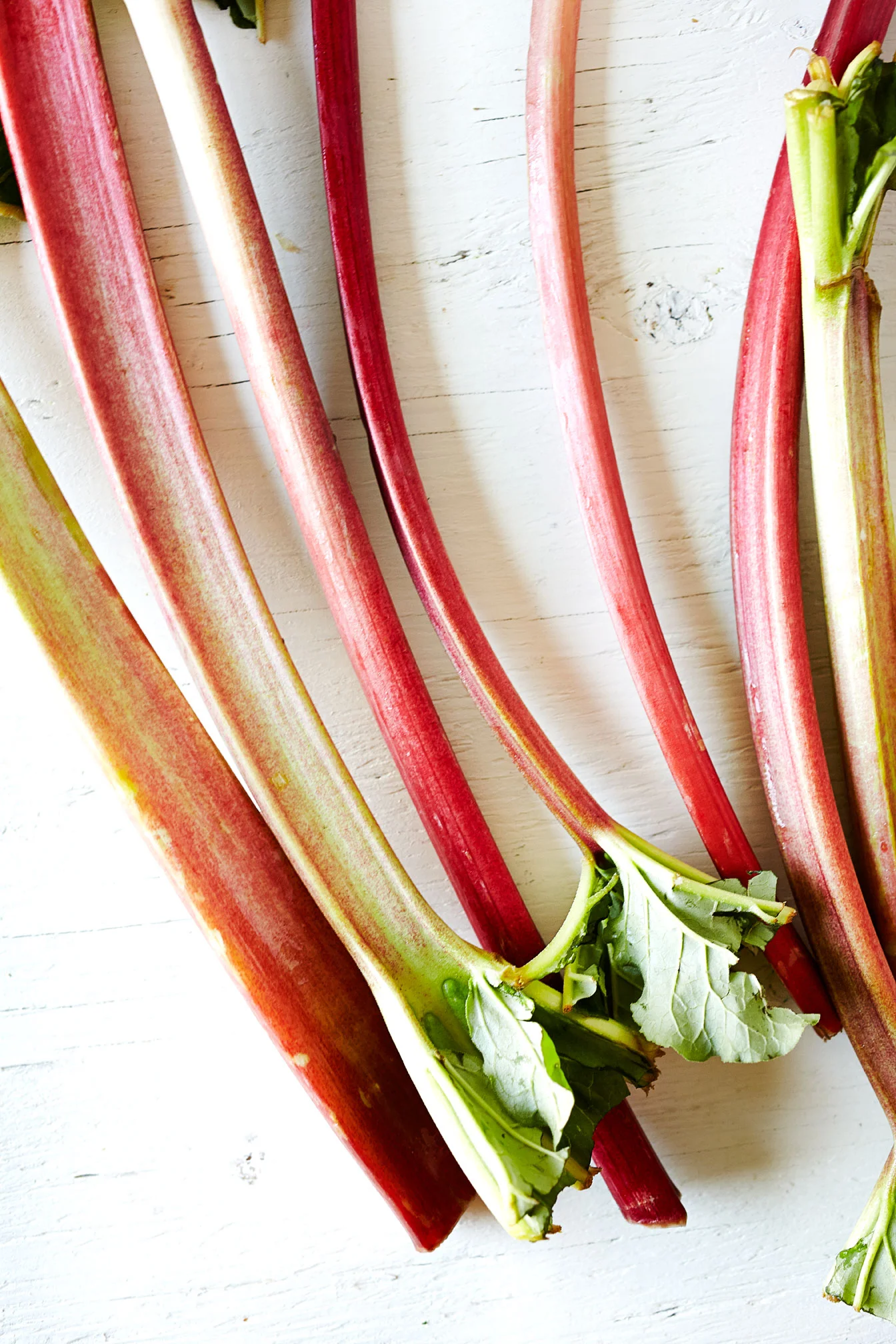 RASPBERRY RHUBARB BRAMBLE — SK