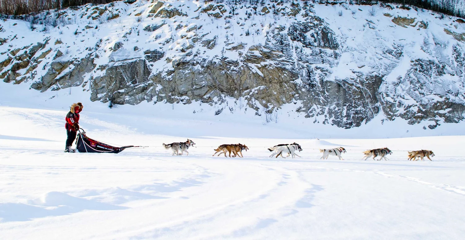 Experience the 2026 Iditarod & Northern Lights Tour | 10-day Alaska ...