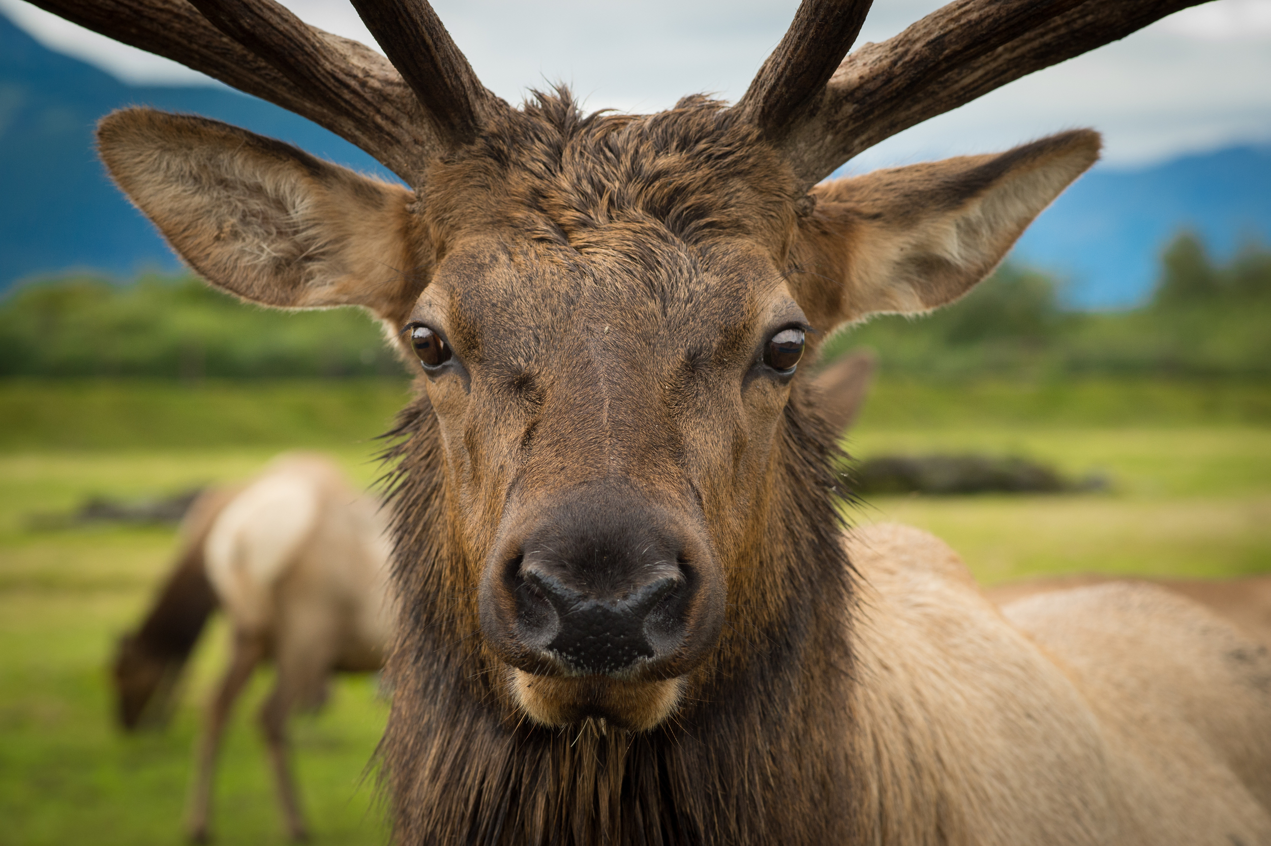 Turnagain Arm Tour — Planet Earth Adventures - Guided Tours & Custom Tours