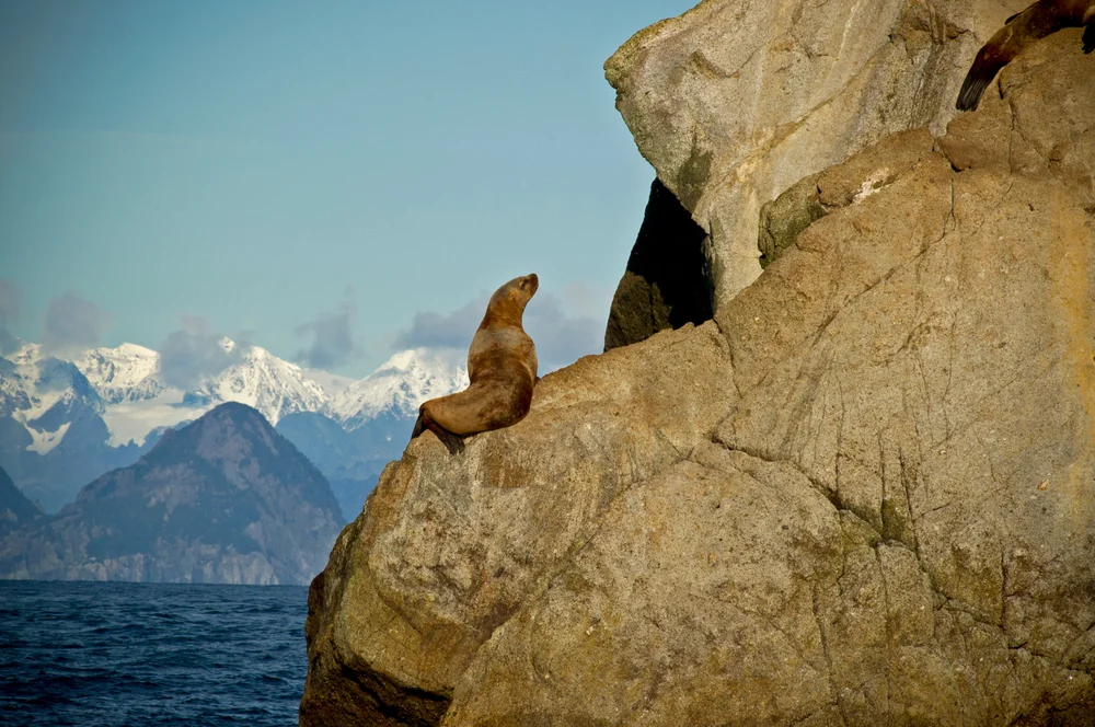 The Alaska Explorer Tour — Planet Earth Adventures - Guided Tours ...