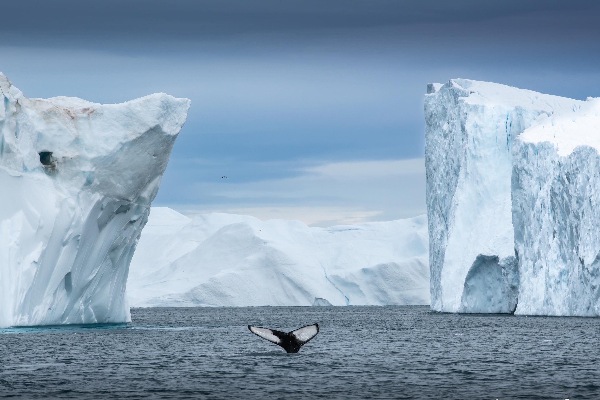 Planet Earth Adventures - Guided Tours & Custom Tours
