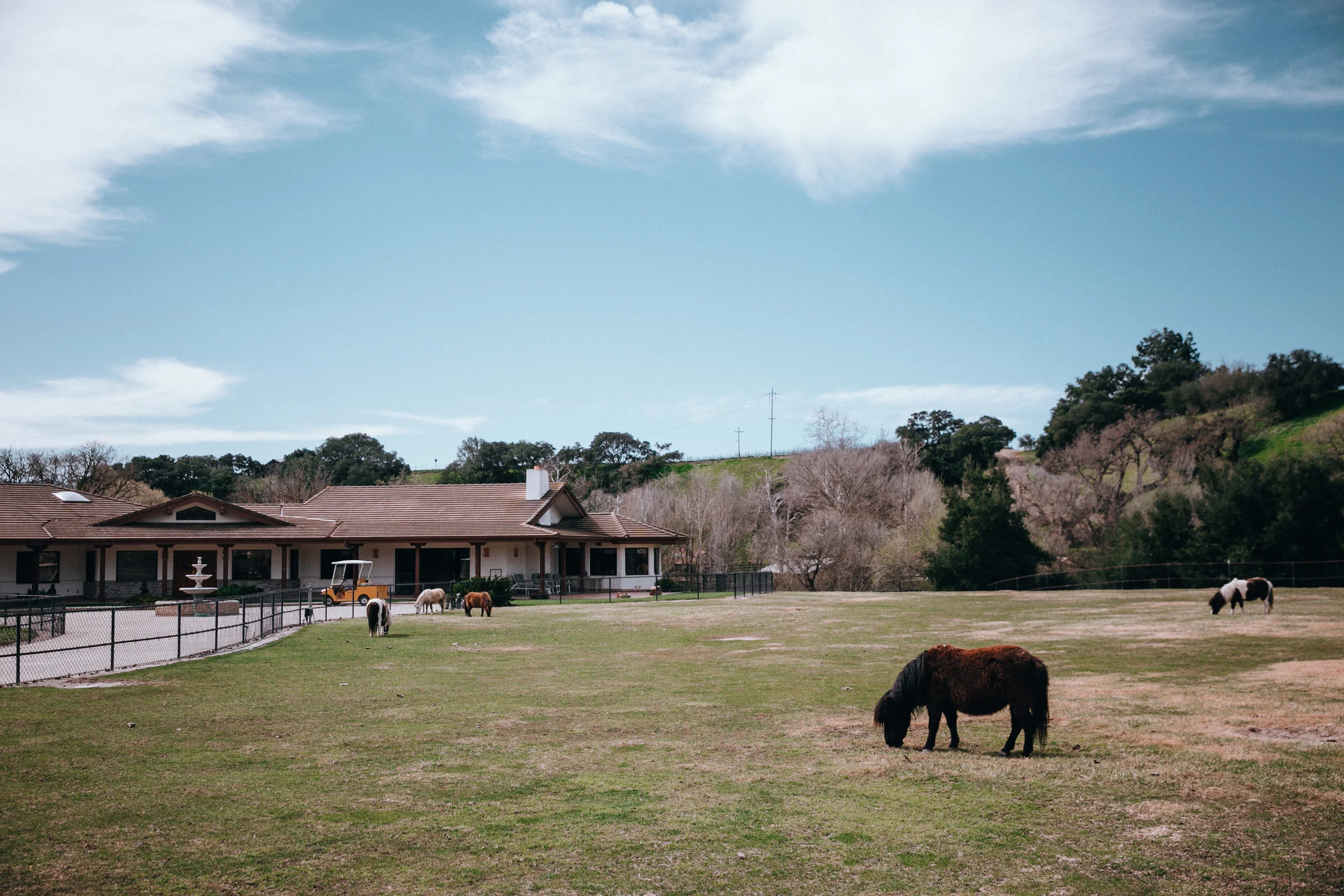 Little Denmark: 8 Things to Do in Solvang — By Lisa Linh