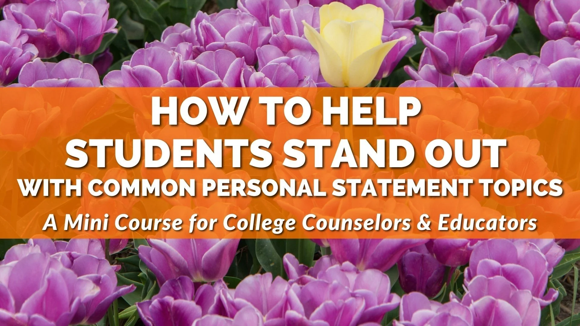 How To Help Students Stand Out With Common Personal Statement Topics how-to-help-students-stand-out-with-common-personal-statement-topics