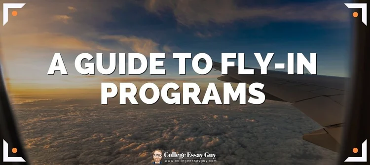 A guide to fly-in programs