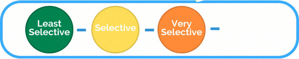How to Get Into MIT + Admissions Requirements 2024/2025