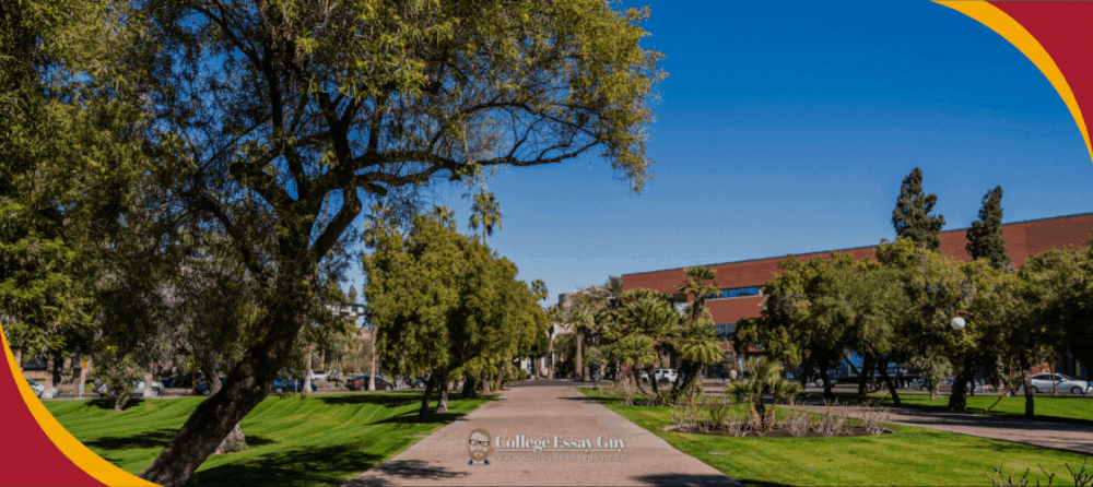 ASU Acceptance Rate: Official Common Data Set 2023