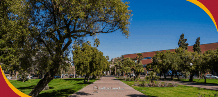 ASU Acceptance Rate: Official Common Data Set 2023