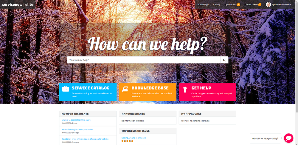 Building a Service Portal — ServiceNow Elite