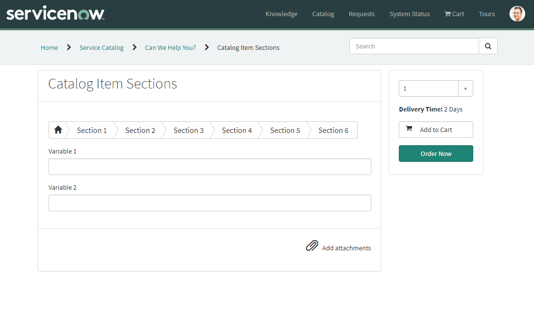 Catalog Item Sections — ServiceNow Elite