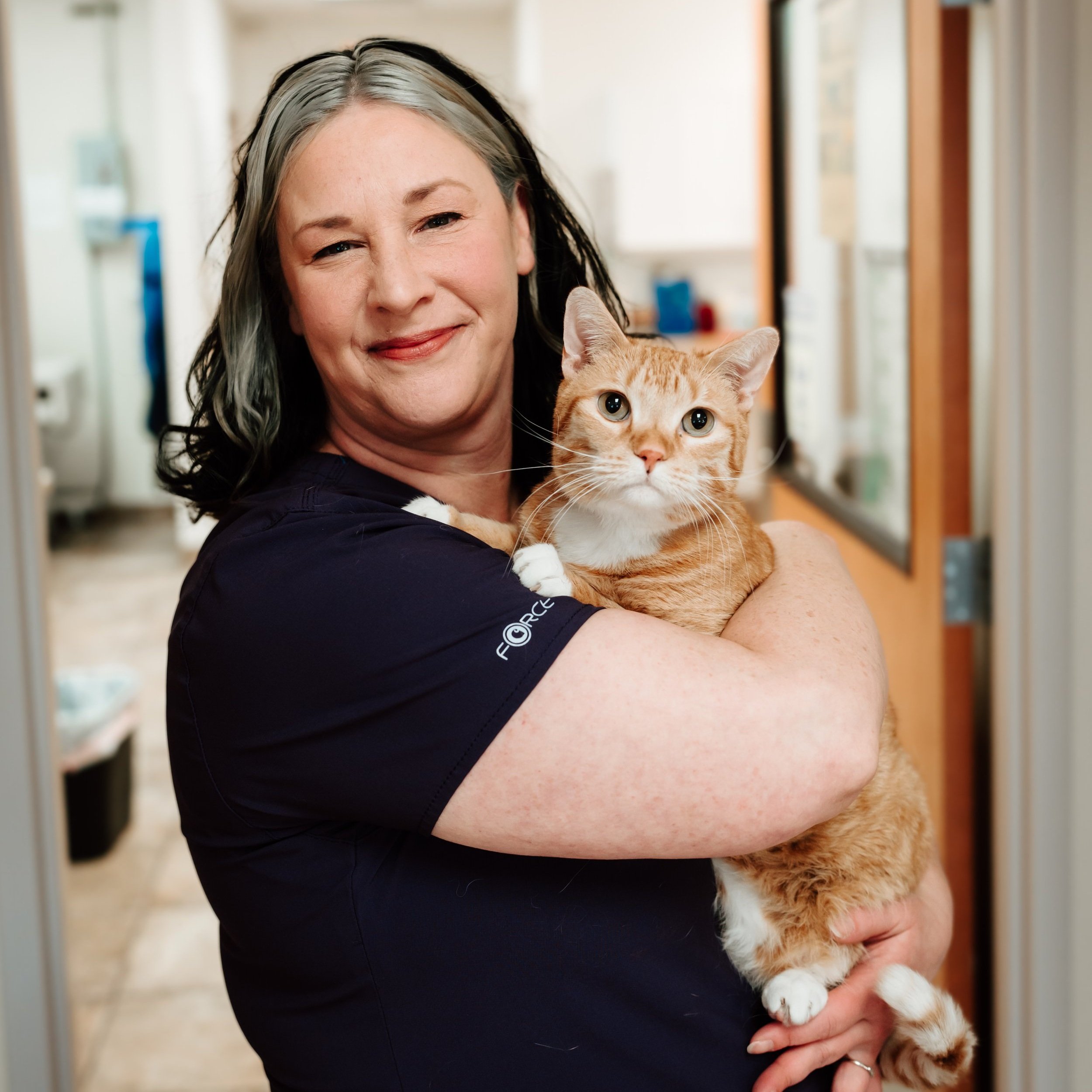 Meet the staff — Bobtown