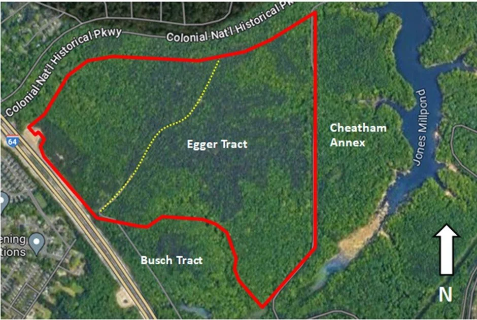 Egger Tract — Williamsburg Battlefield Association