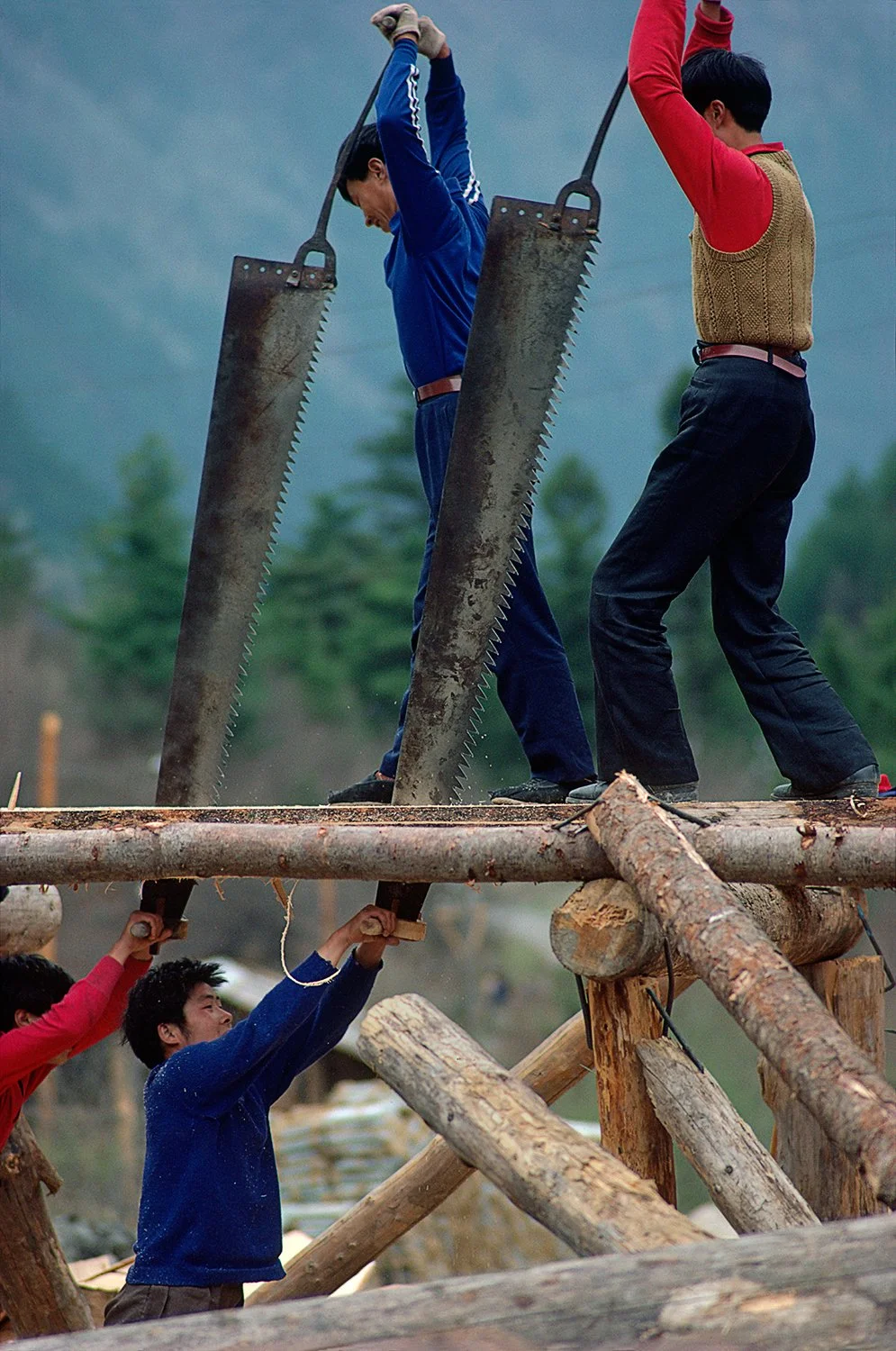 Sichuan — CARY WOLINSKY