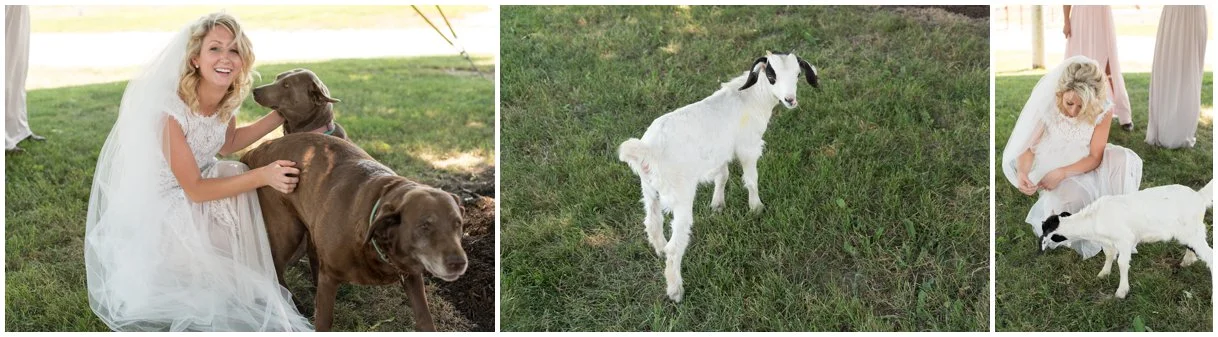 Jacey + Justin | Wedding | Lancaster PA — Lancaster Wedding and ...