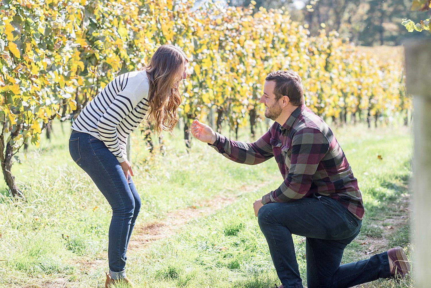 Ian + Jaclyn | WayVine Winery | Proposal — Lancaster Wedding and ...