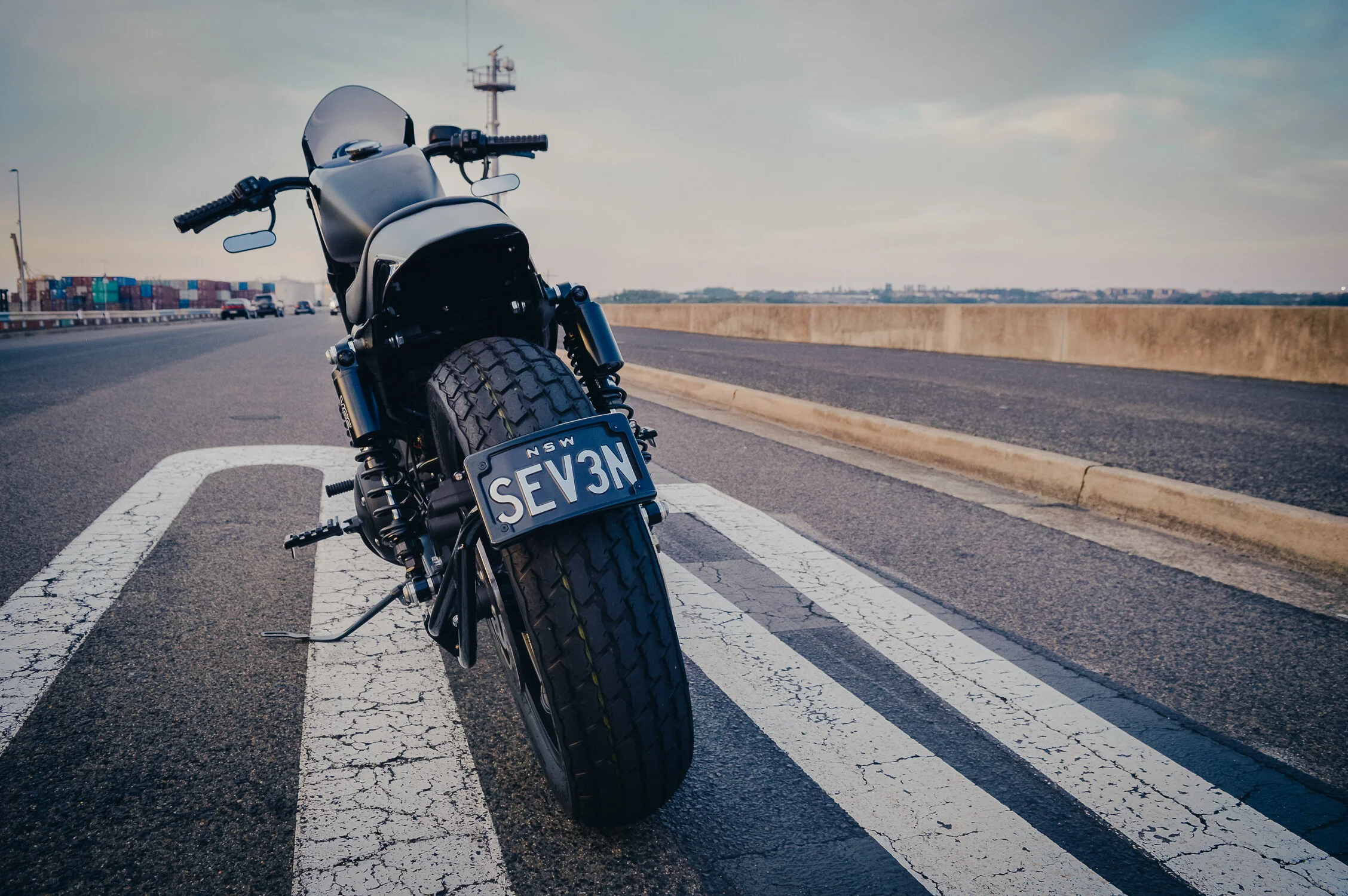 2017 Harley Davidson Roadster - Mr Bungle — Gasoline Motor Co.