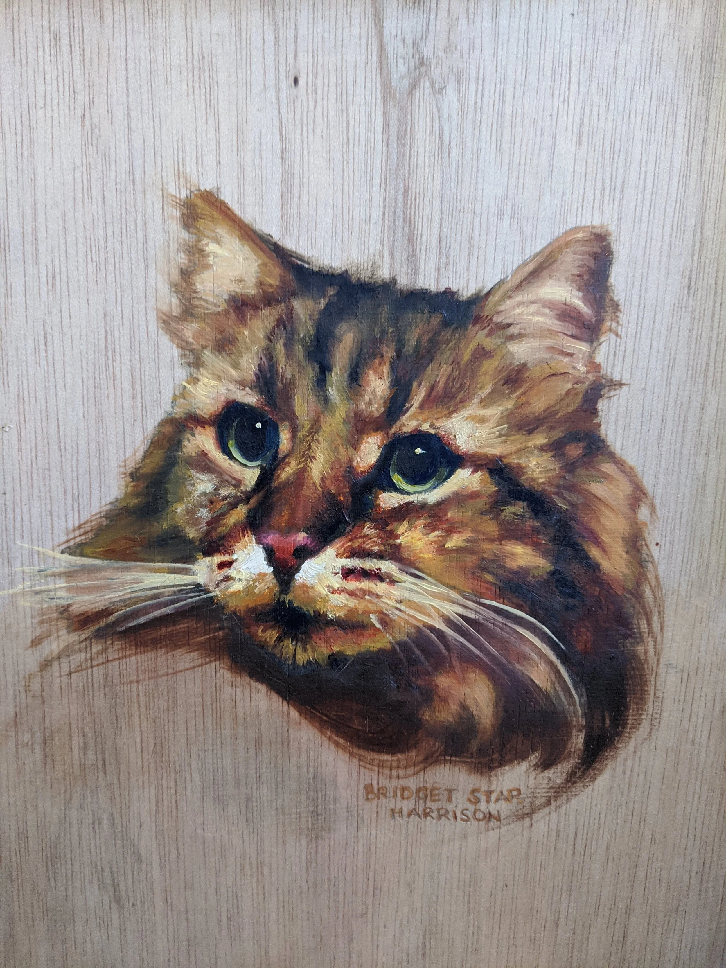 Bridget Star Harrison