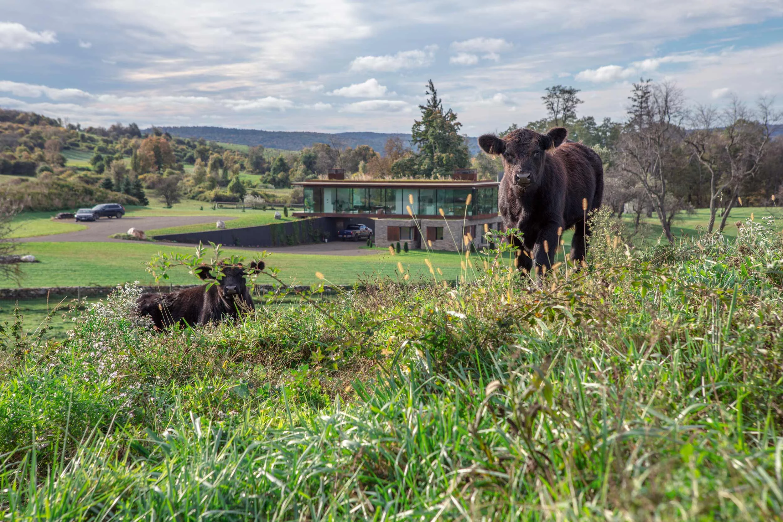 Link Farm House — SLADE ARCHITECTURE