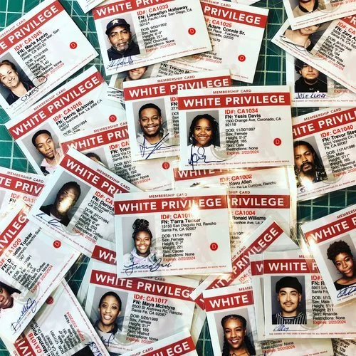 Buy White Privilege — John Raymond Mireles