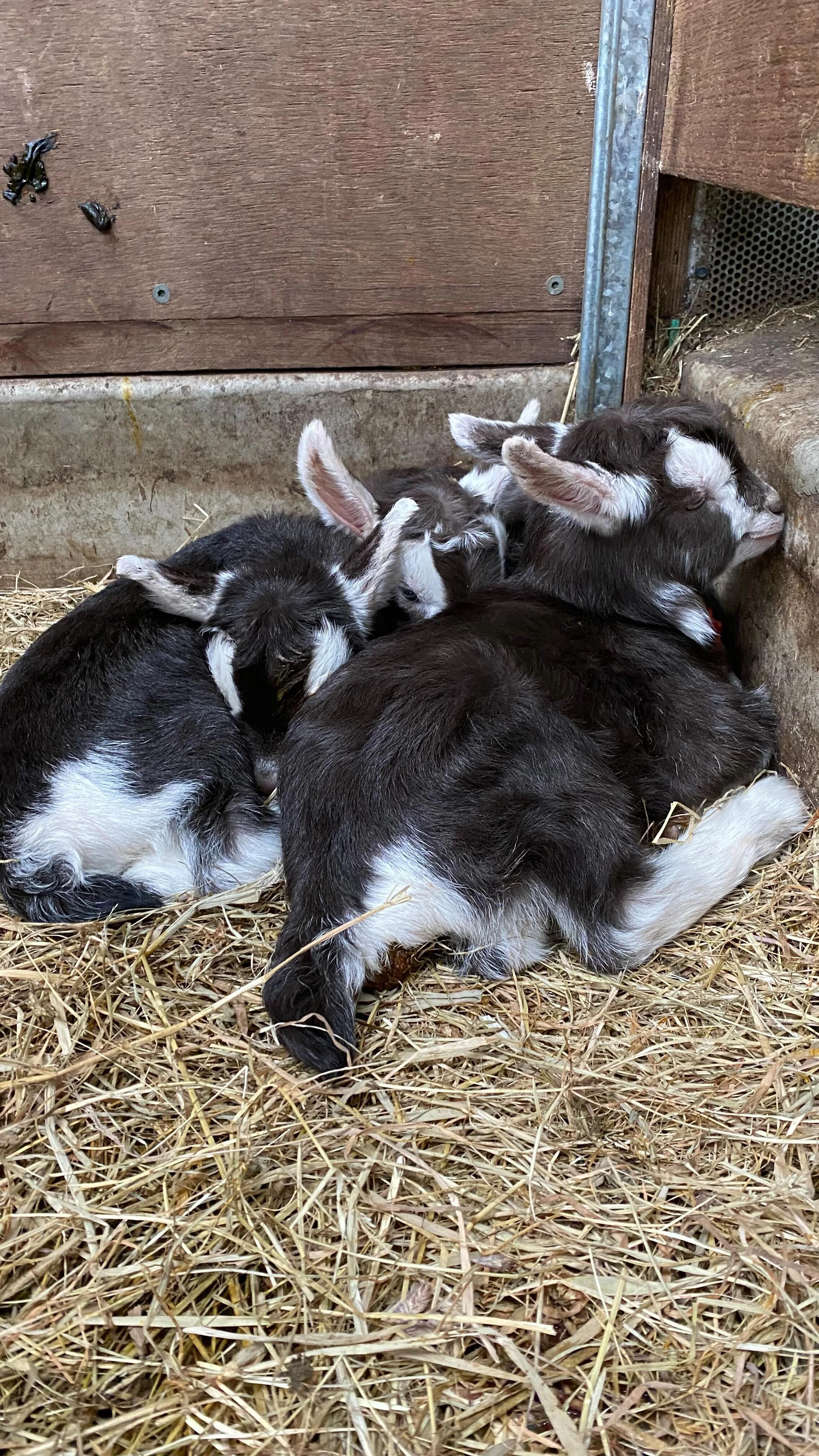Leap Farm