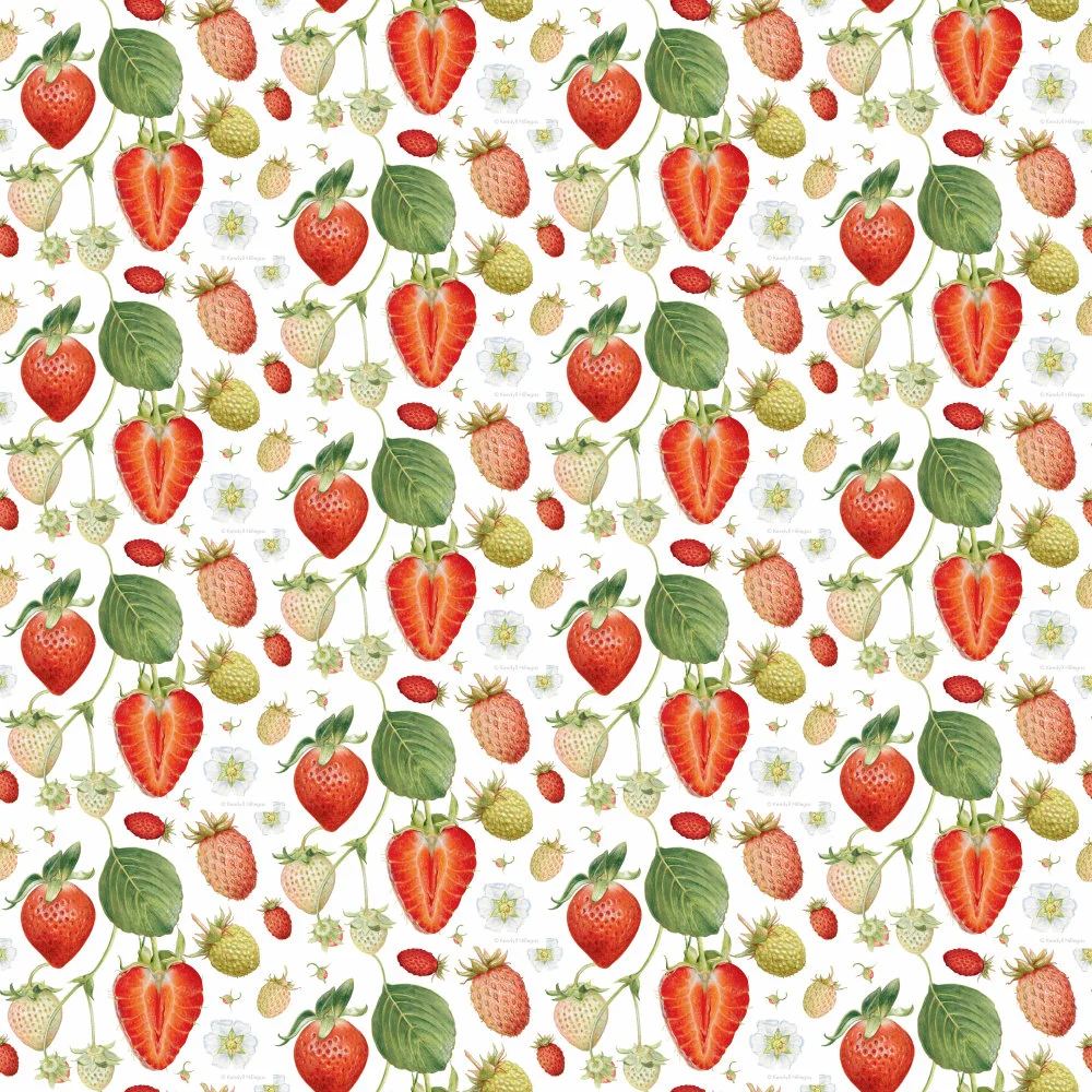 Experimenting with Pattern Design — Kendyll Hillegas