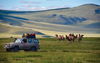 Car Rental in Mongolia | Self Drive & 4x4 Rentals – Drive Mongolia