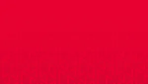 E-Commerce — Selcom