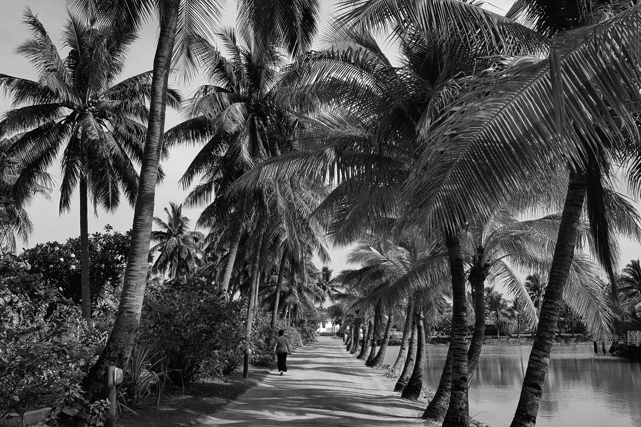 Fiji Private Jet Charter | BLAK Private Jets