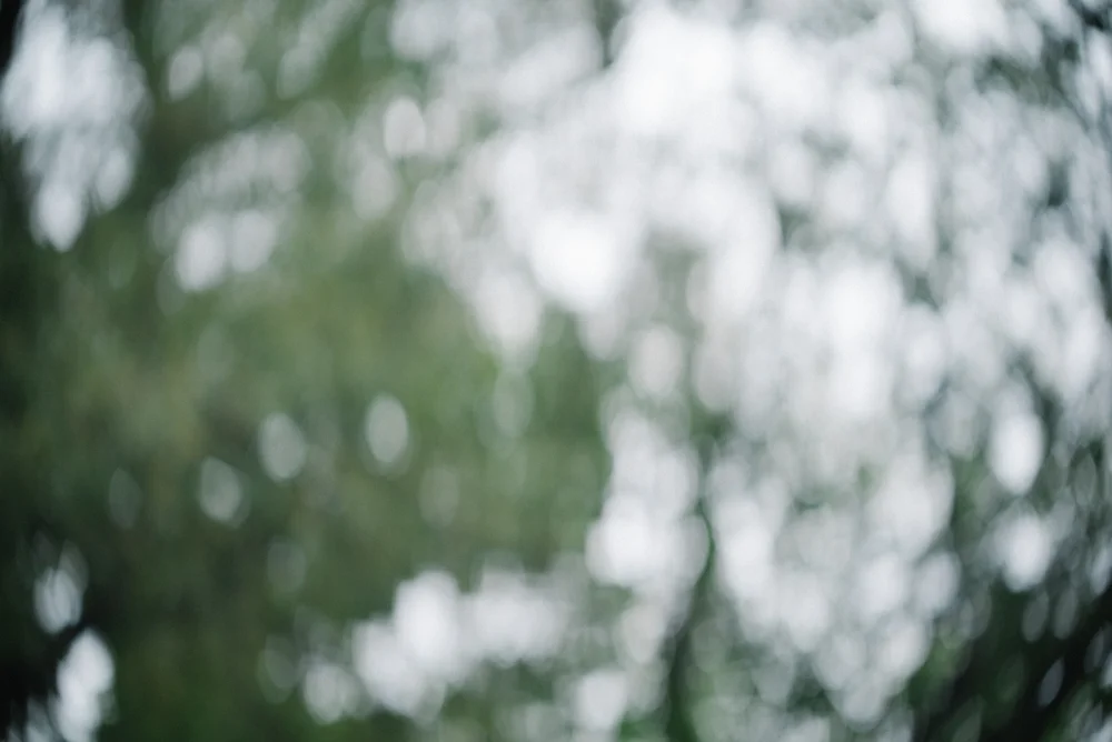 Vintage (Anamorphic 1.3x) Looks Filter — Vid-Atlantic Media Productions