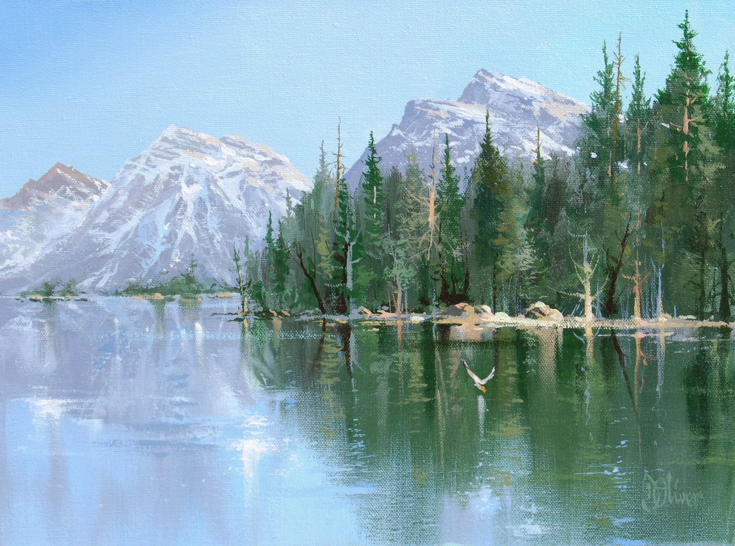 Studio Collection — The Art of Doug Oliver