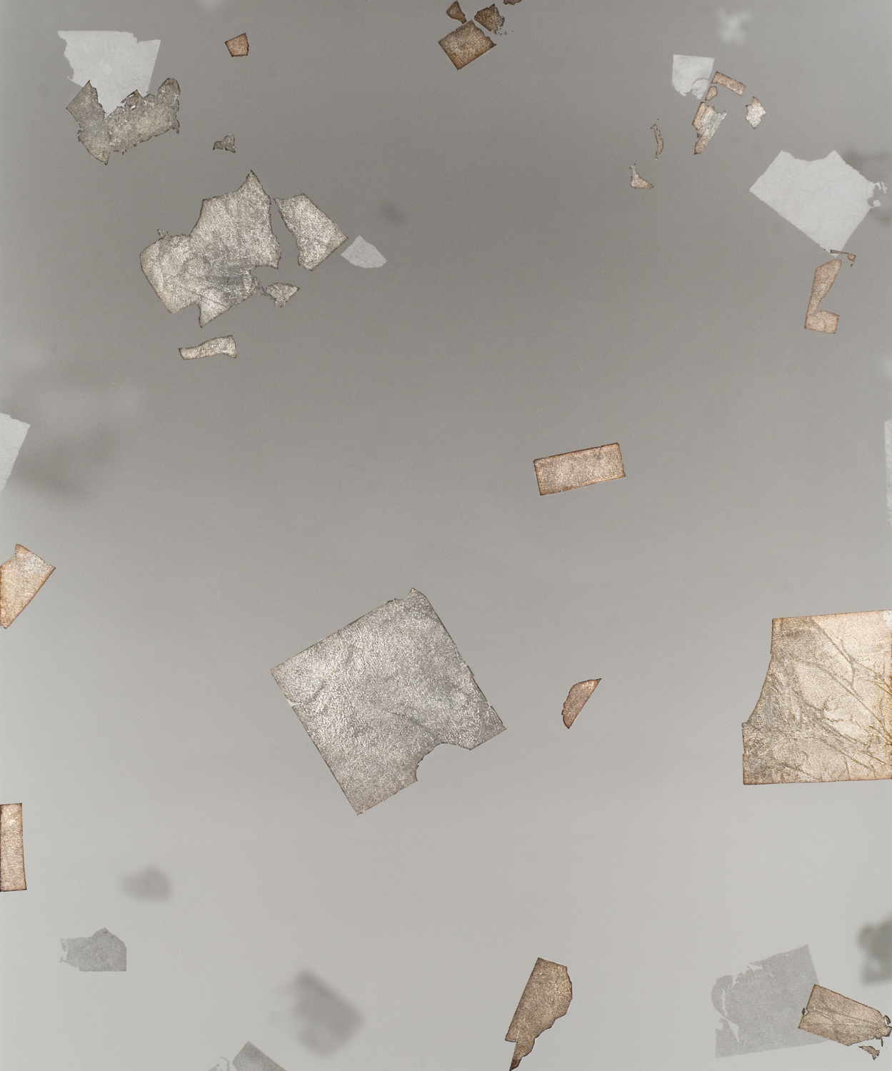 2007 Silver Prints — Bing Wright