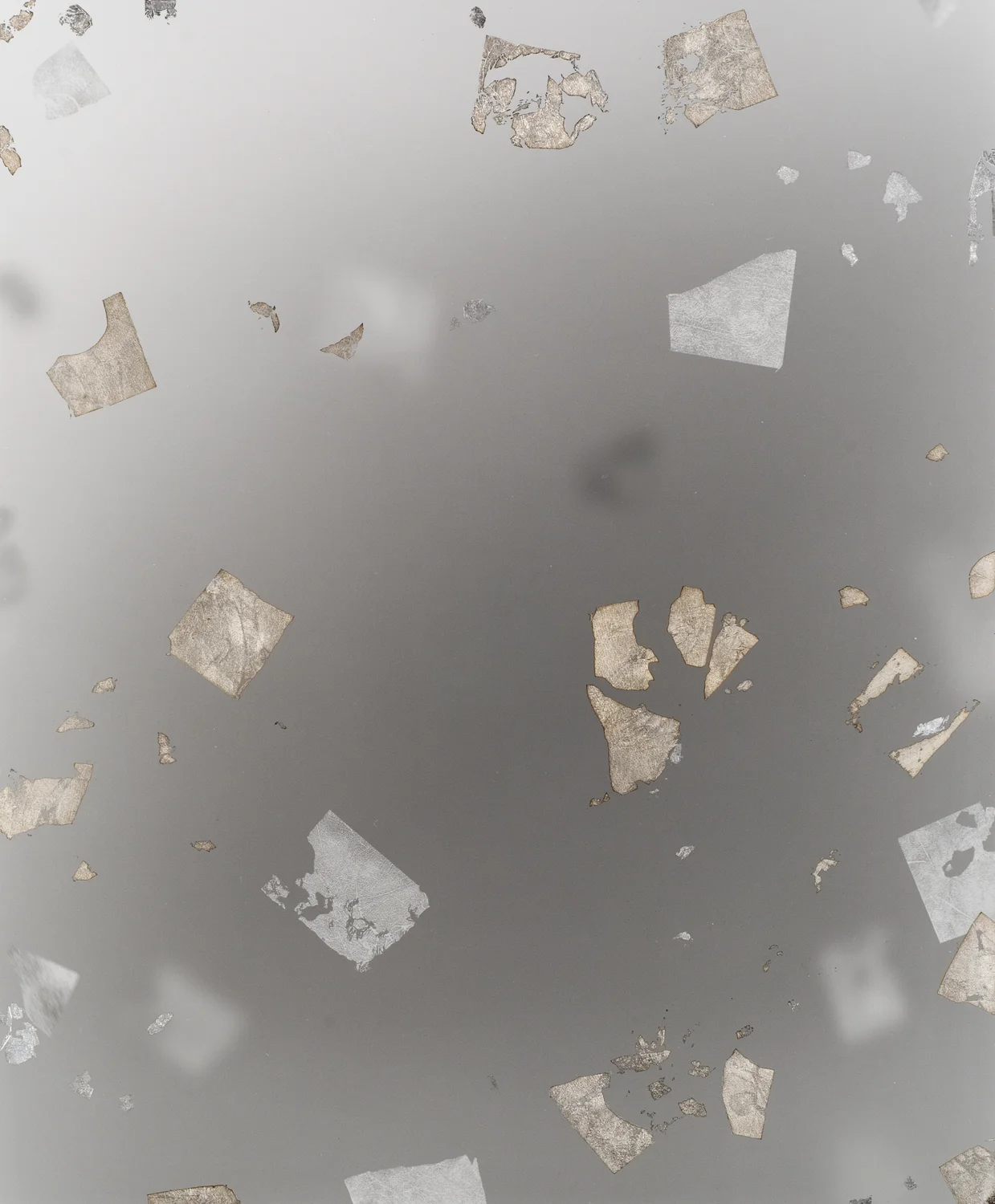 2007 Silver Prints — Bing Wright