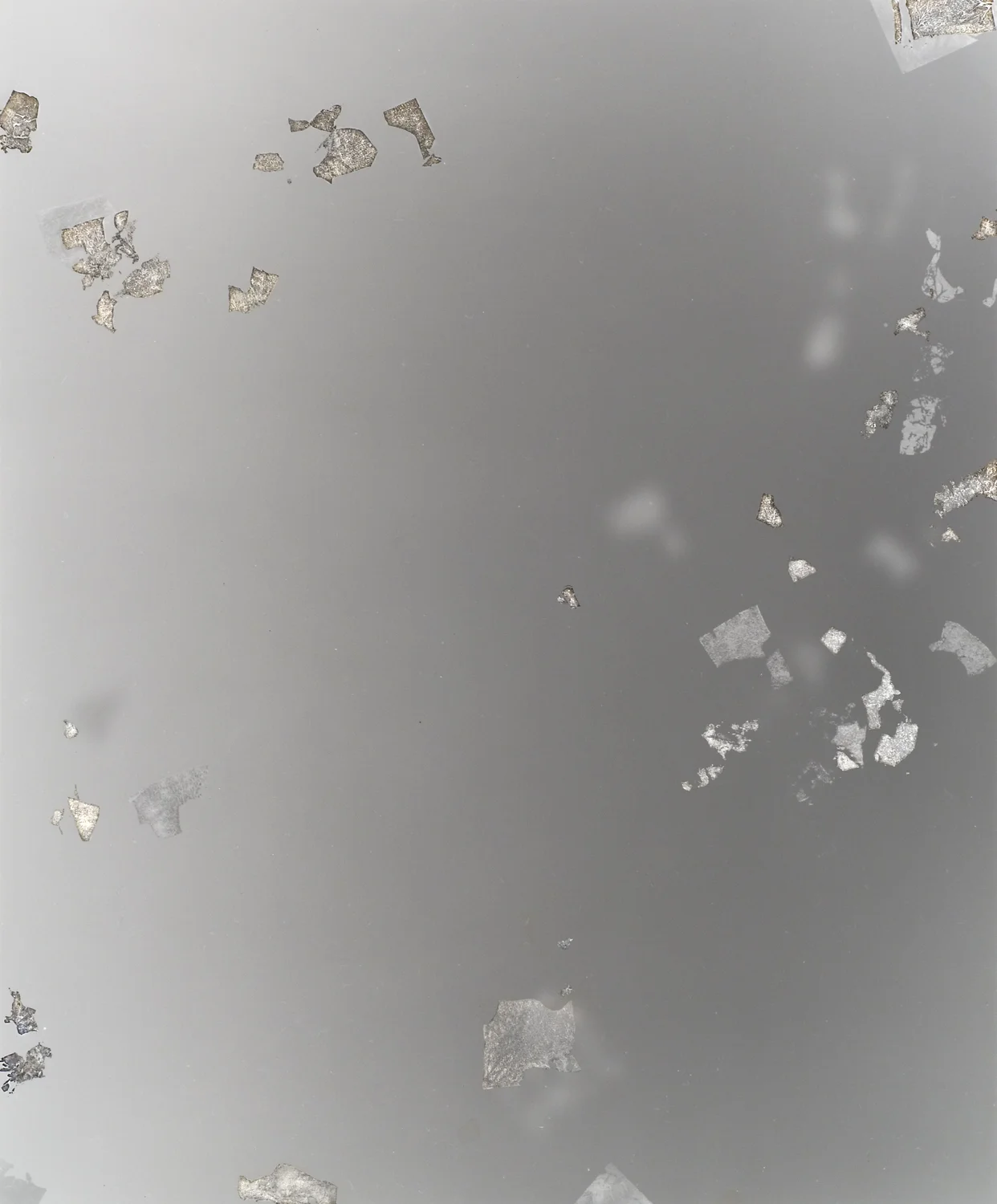 2007 Silver Prints — Bing Wright