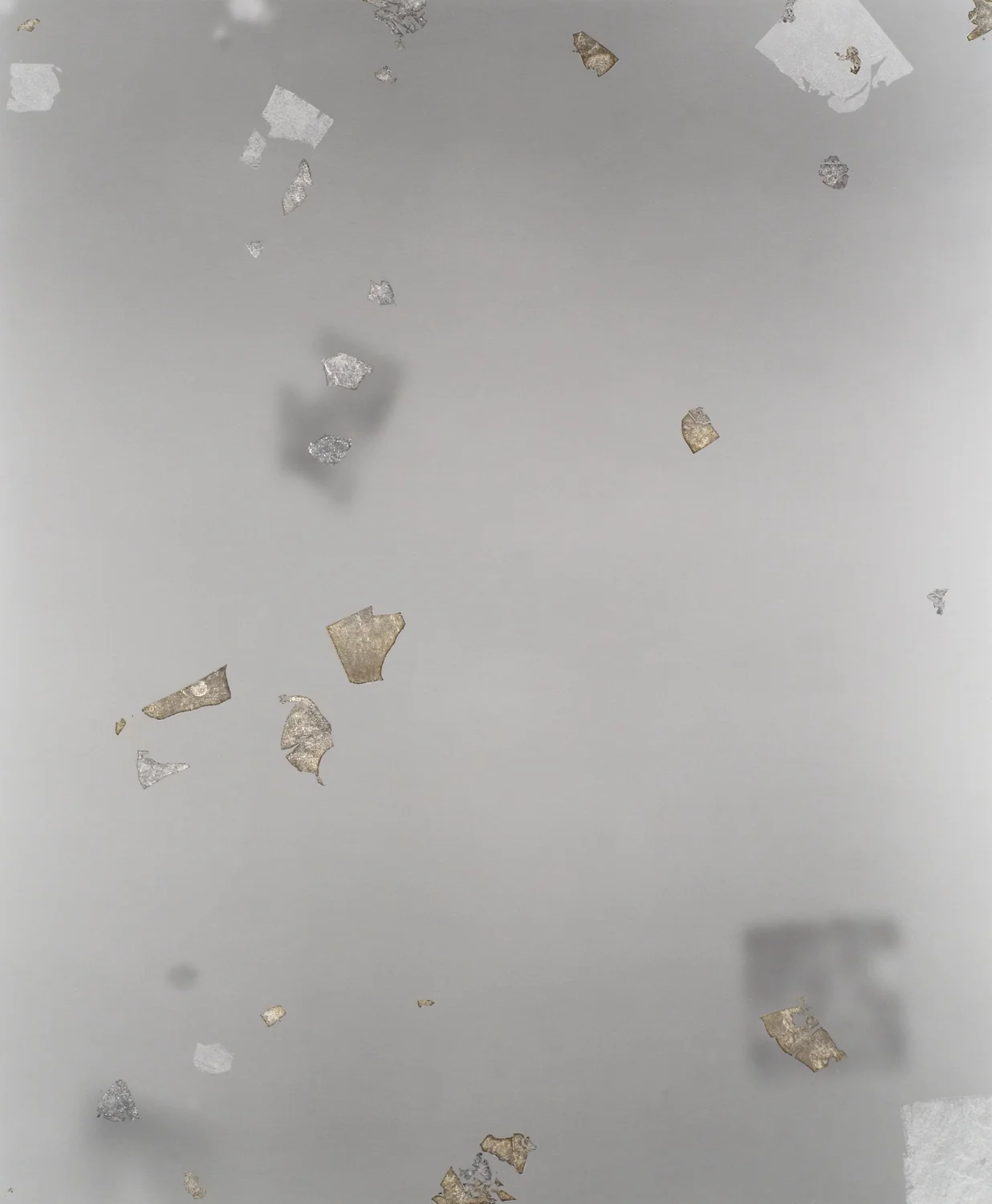 2007 Silver Prints — Bing Wright