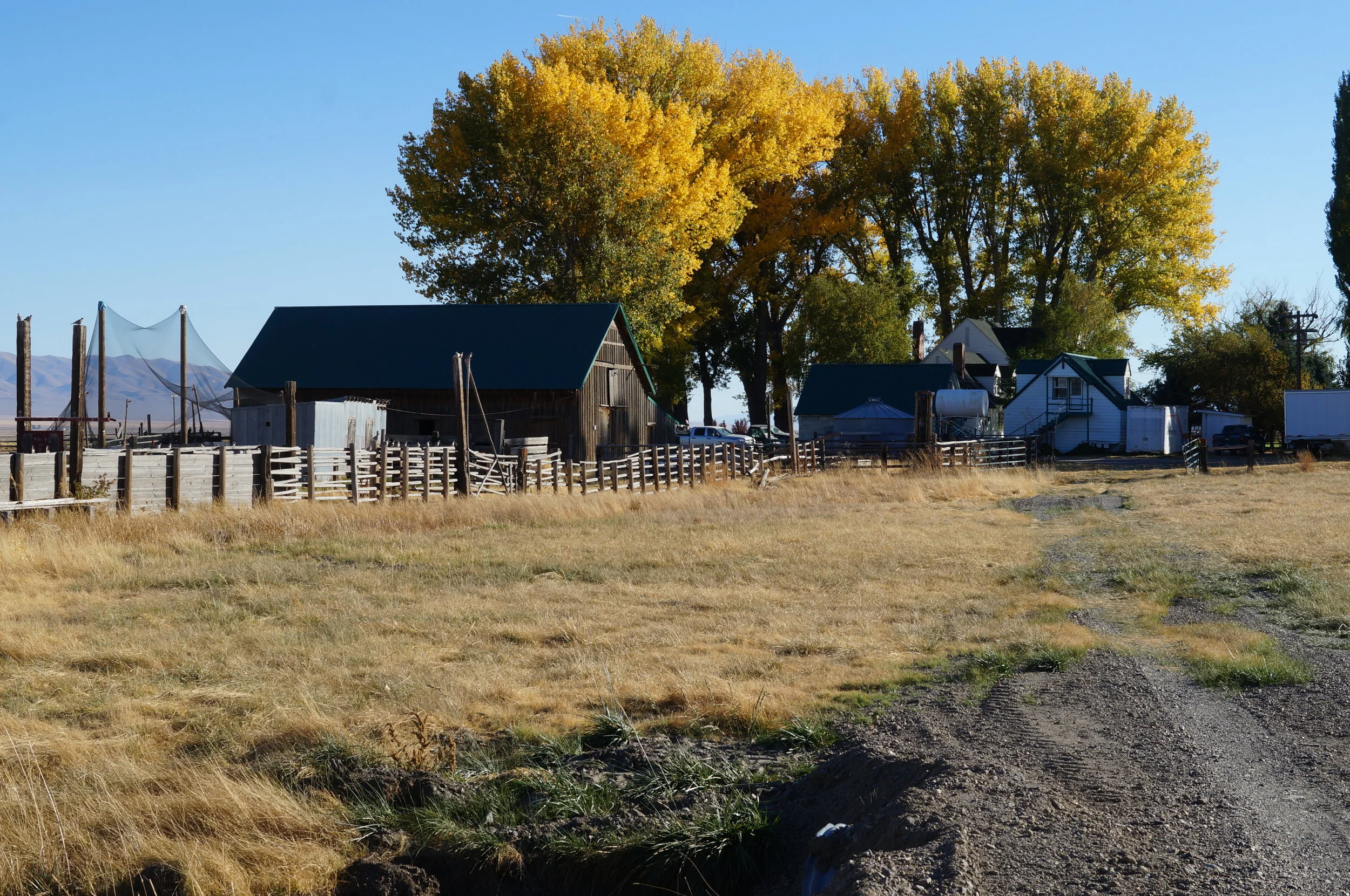 Bullhead Hunting Club