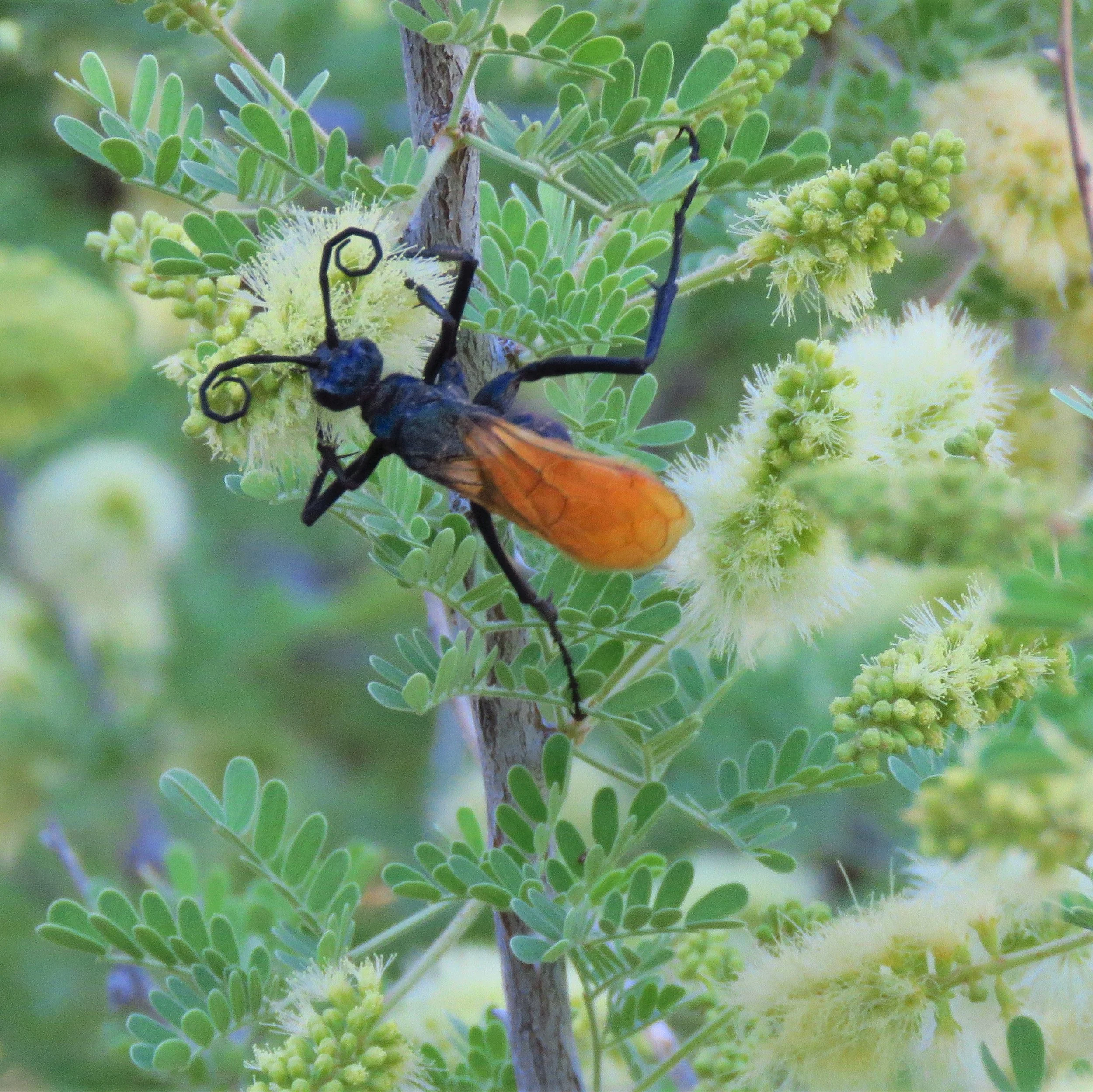 Conversations on Photography — Leigh Osgood Fine Art and Photography