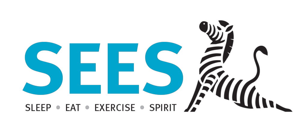 SEES — The Healing NET Foundation